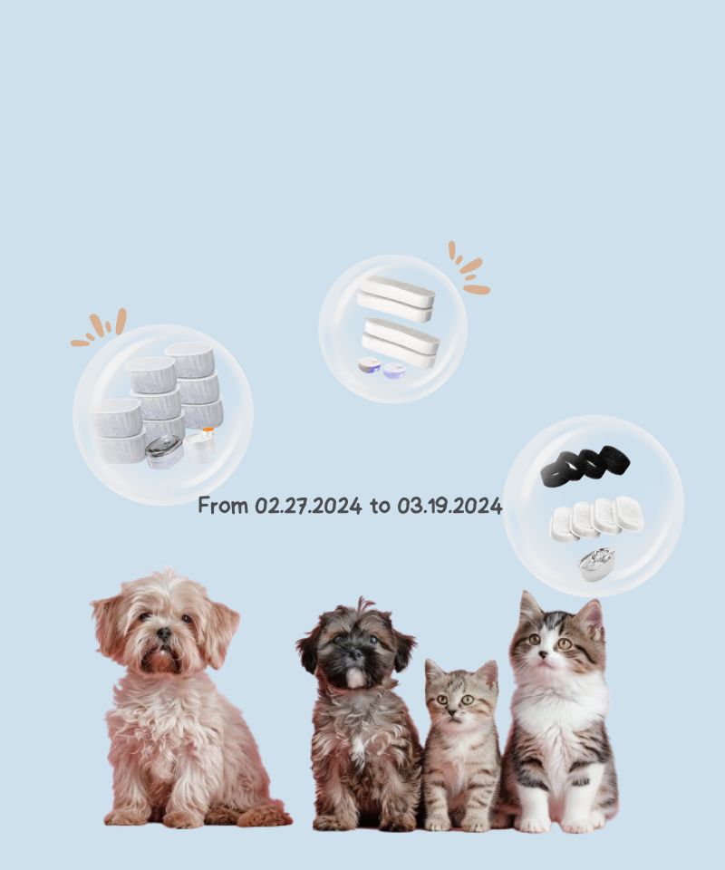 WOpet® Official - Boundless Love for Pets, Bring Joy to All Pet Lovers